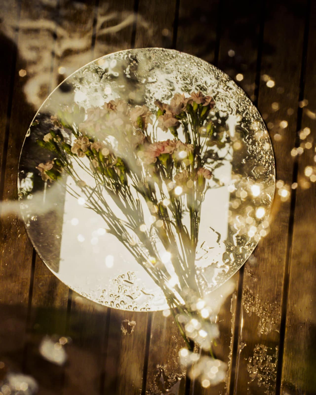 Miu Miu Fleur d'Argent | Miu Miu