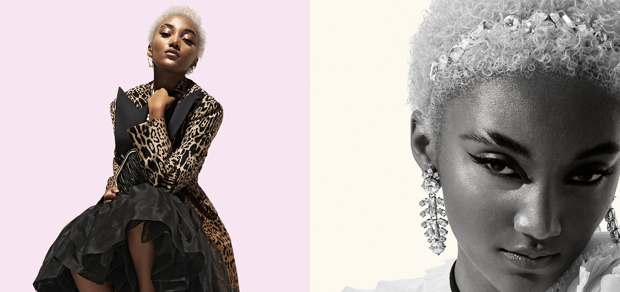 Miu Miu Icons | Miu Miu