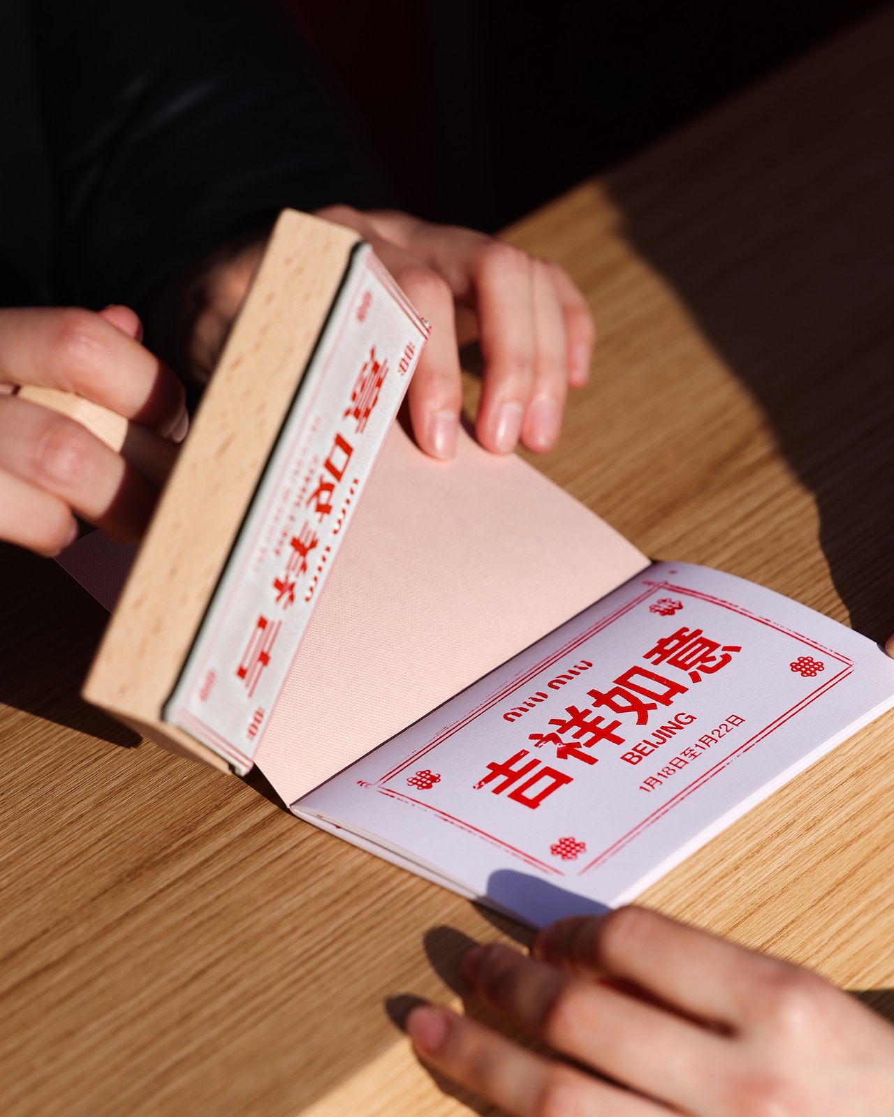 Chinese New Year 2025 | Miu Miu