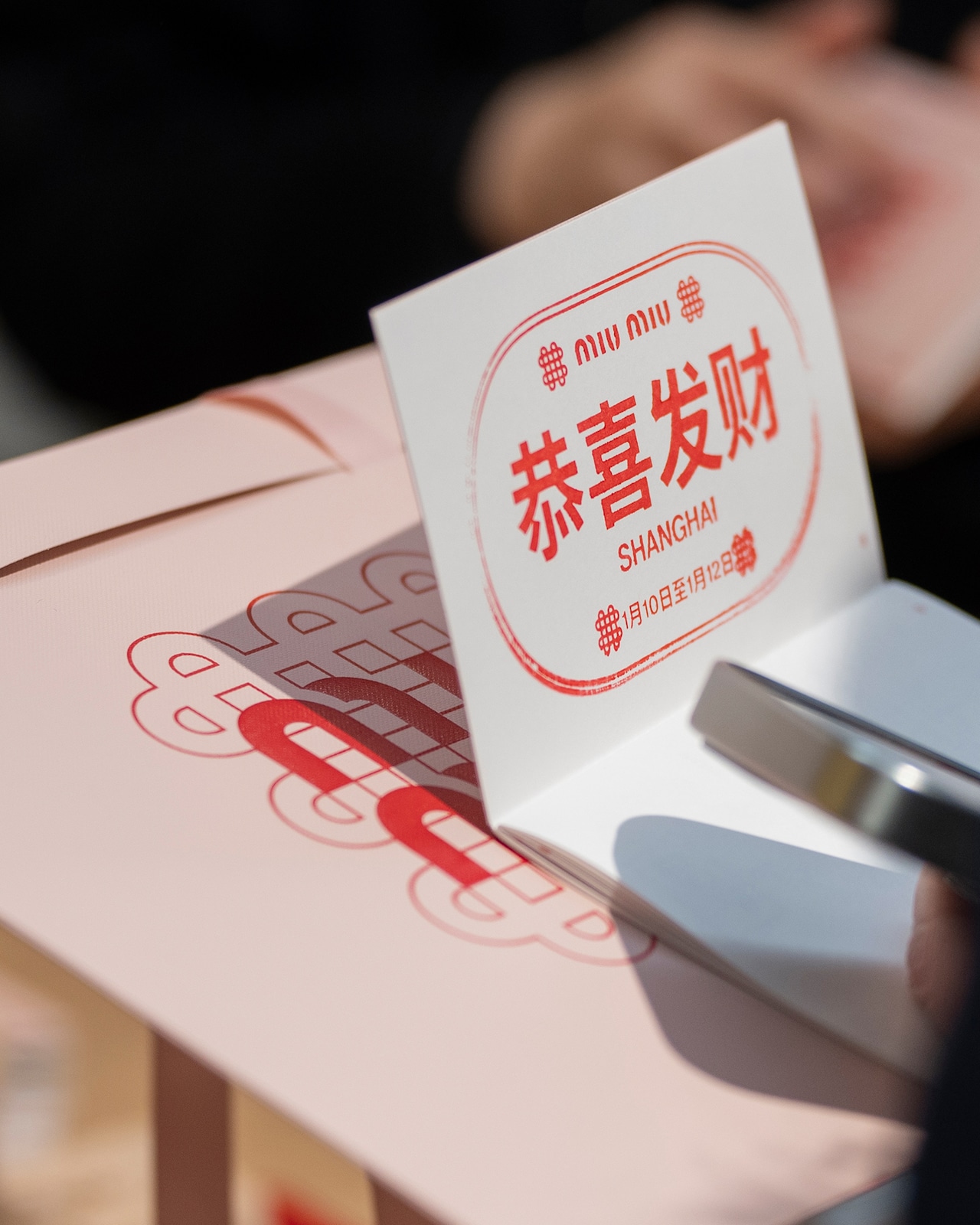 Chinese New Year 2025 | Miu Miu